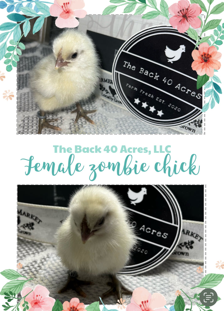 Zombie Chicks – The Back 40 Acres, LLC